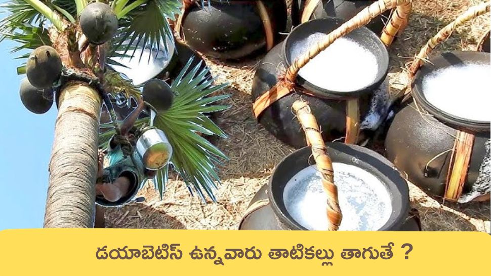 Benefits Of Drinking Thati Kallu Can It Helps In Maintaing The Sugar ...