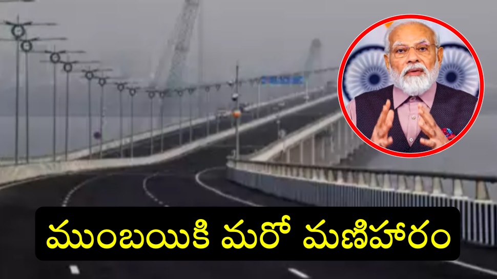 Prime Minister Modi inaugurates Atal Setu Bridge in Mumbai Sn |Atal ...