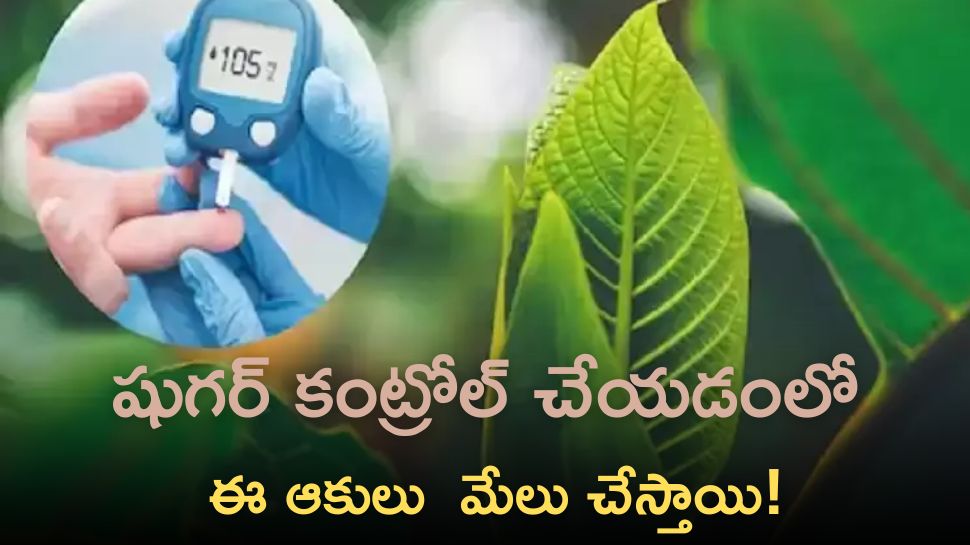 Health Experts Suggest That Consuming These Leaves Can Help Monitor ...