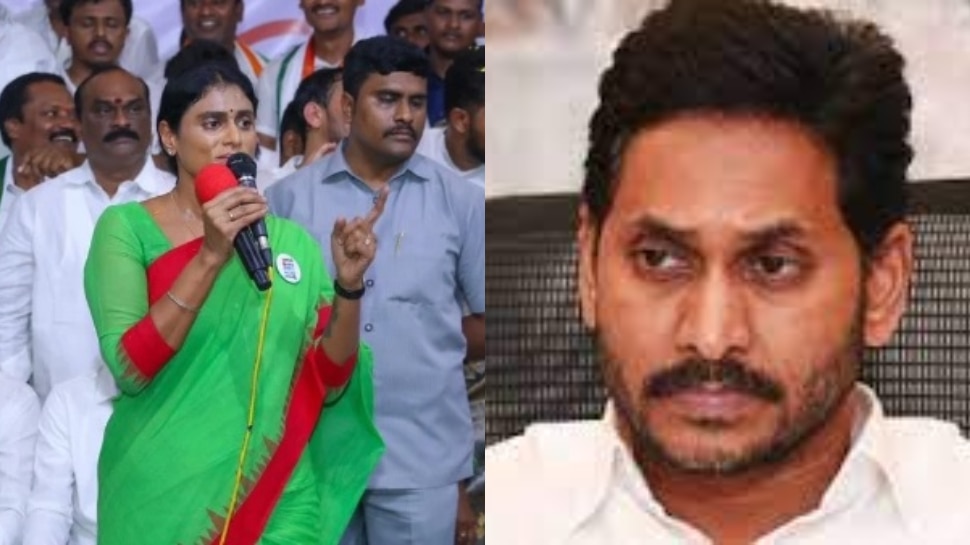 Andhra Pradesh Congress Leader YS Sharmila fire on AP CM Ys Jagan and equal share in sakshi ...