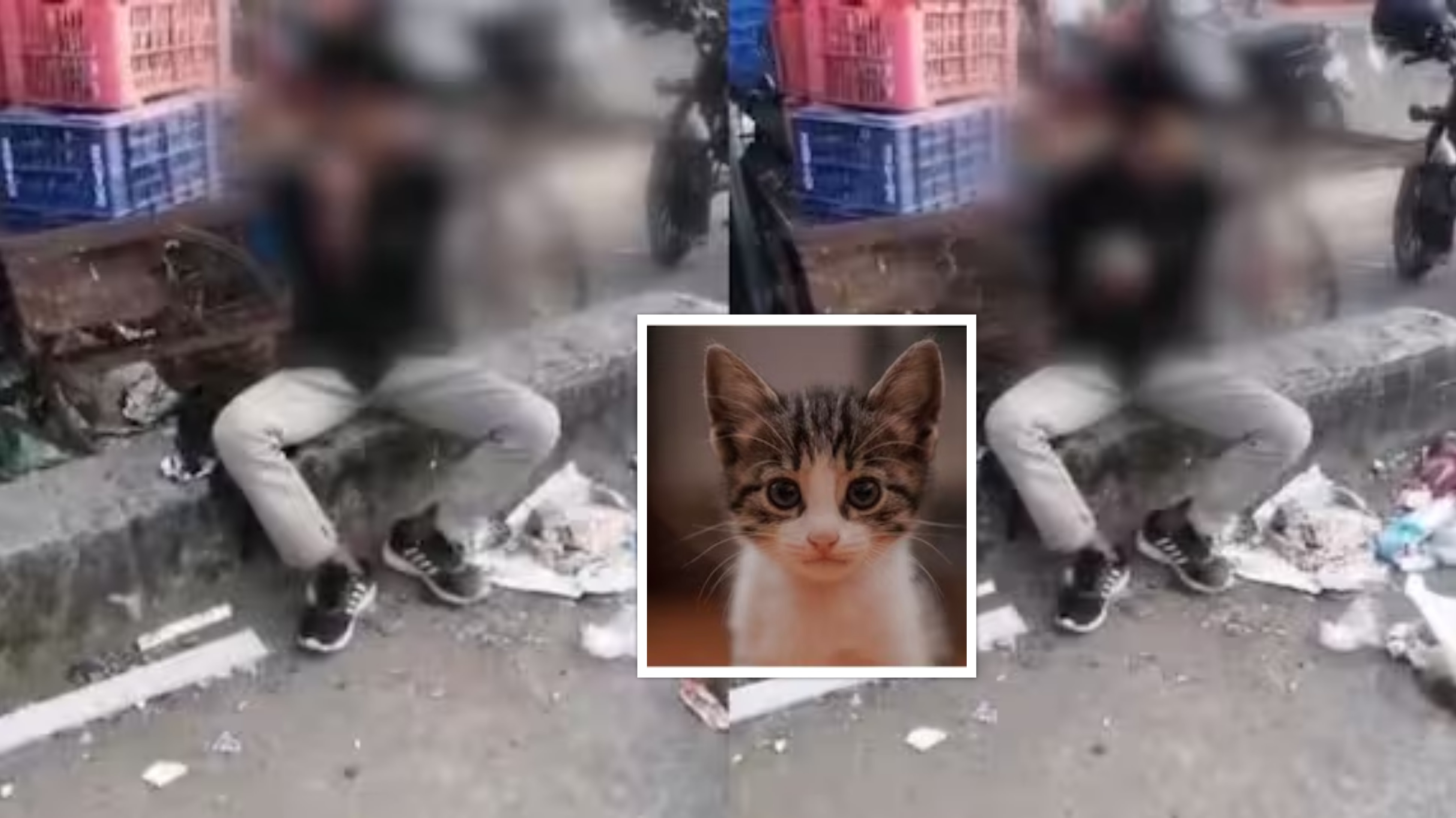 Young Man Found Eating Raw Cat After Starving For 5 days In Kuttippuram ...