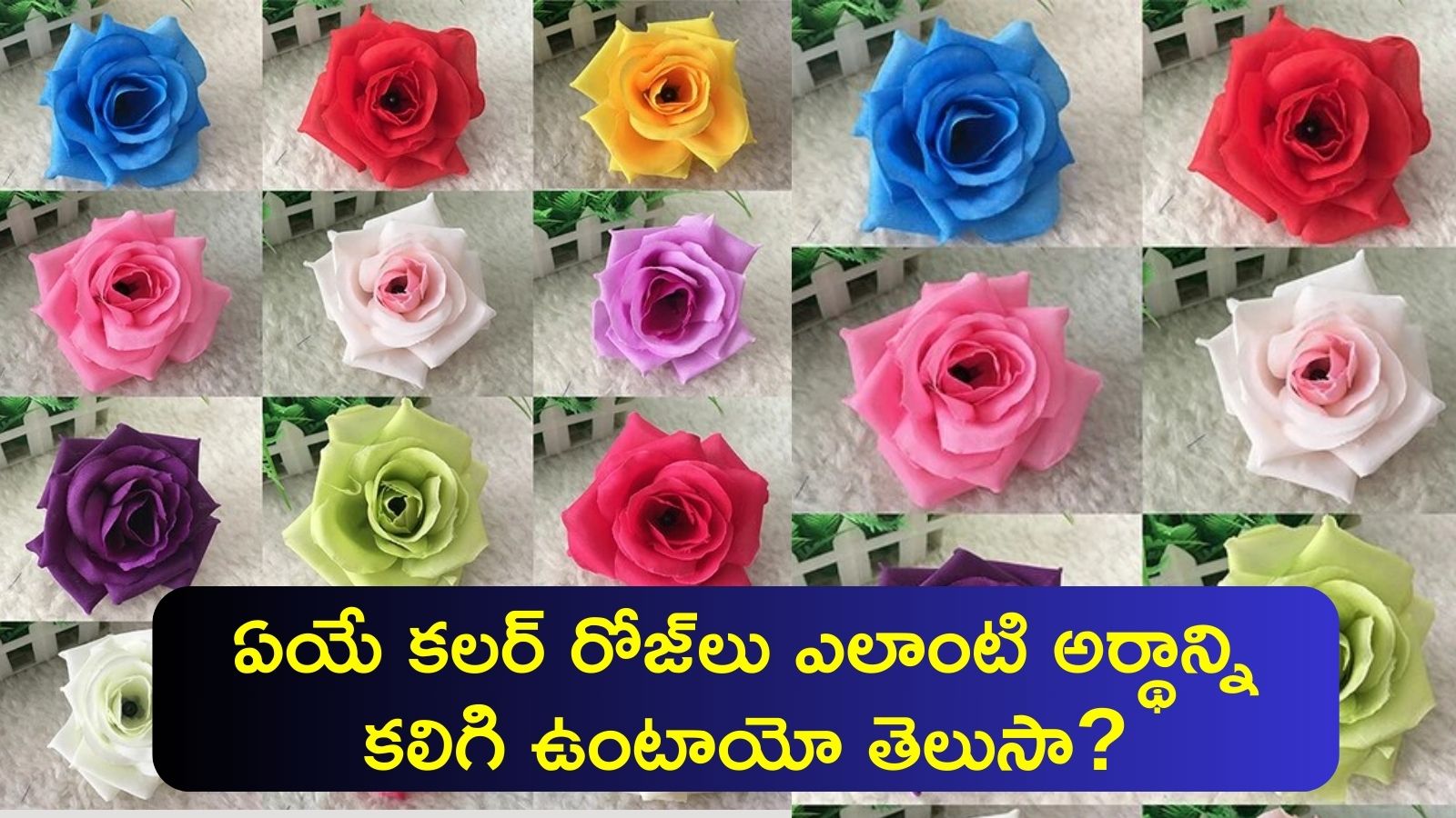 Significance Of Red Rose, Pink Rose, Purple Rose, Yellow Color Rose In ...