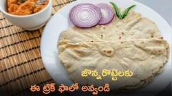 Jowar Bhakri News in Telugu, Latest Jowar Bhakri news, photos, videos ...