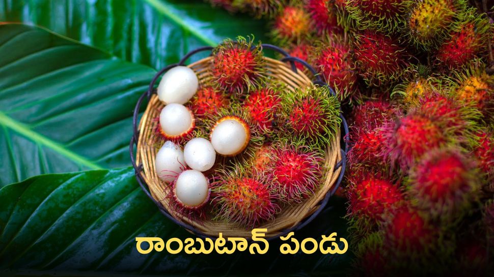 What Is Rambutan Fruit How To Eat This Fruit And Benefits | Rambutan ...