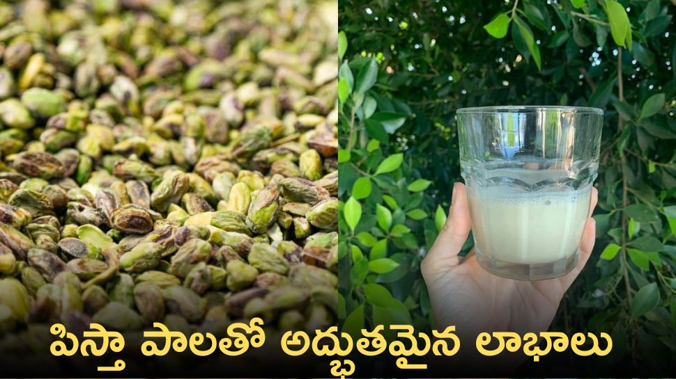 Health Benefits Of Consuming Pistachio Milk After Meal | Pista Milk ...