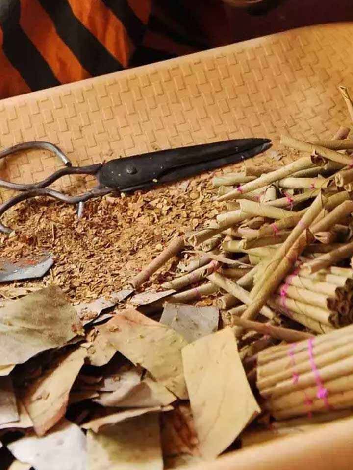Cigarette, Beedi Which Of These Two Is More Dangerous For Health | Bidi ...