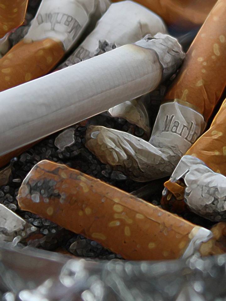 Cigarette, Beedi Which Of These Two Is More Dangerous For Health | Bidi ...