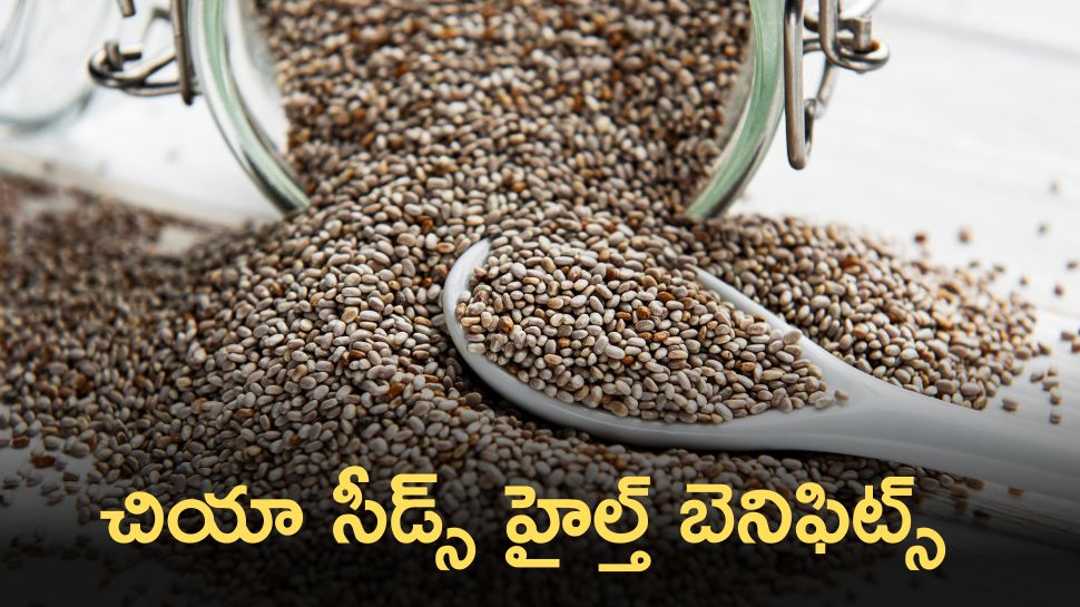 What Are The Health Benefits Of Chia Seeds And Nutritional Values ...