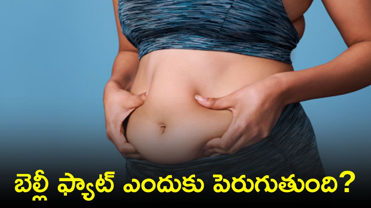 5 Reasons To Increase Belly Fat Why Does Belly Fat Grow Main Causes Of Belly Fat బెల్లీ