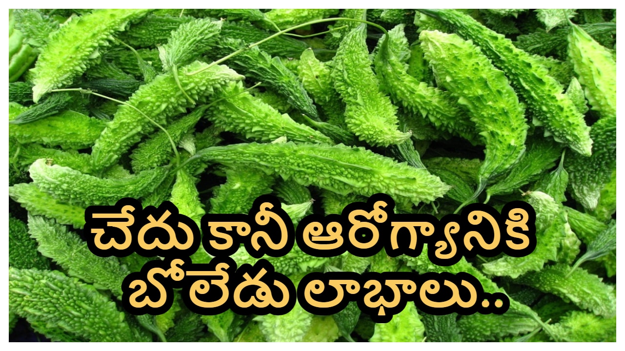 Must Know The Health Benefits Of Kakarakaya | Uses Of Kakarakaya: రుచి ...