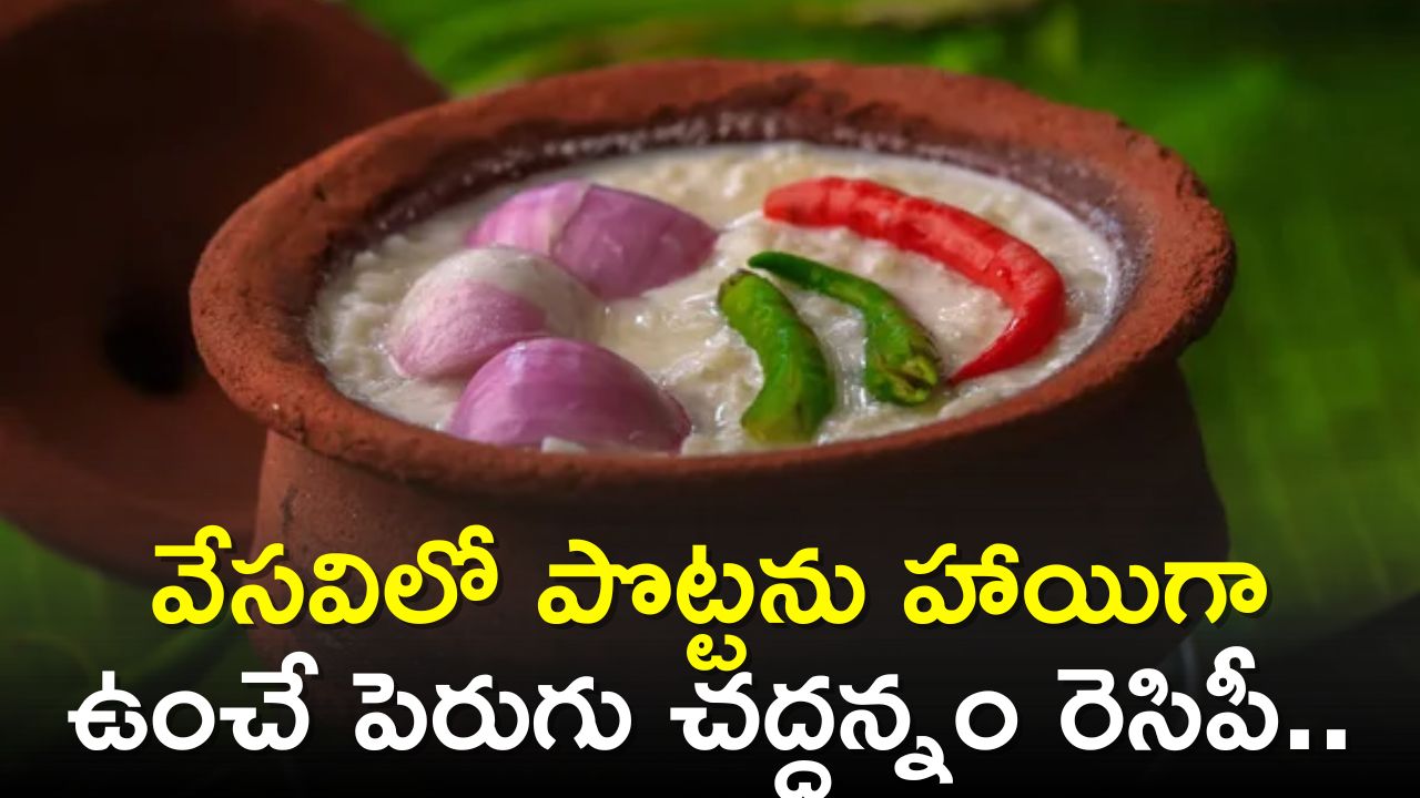 Make Perugu Chaddannam Recipe That Keeps Your Stomach Healthy In Summer ...