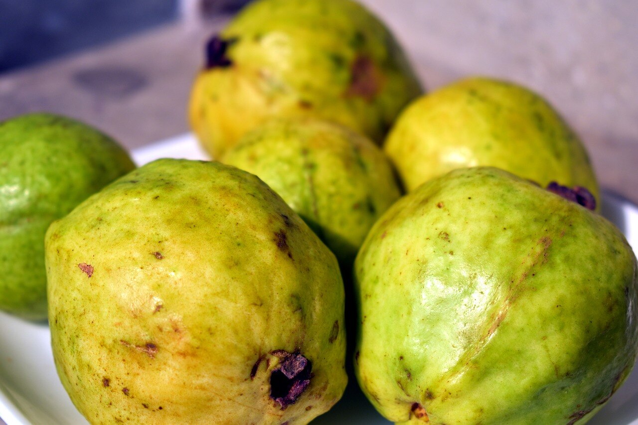5 Health Befits of Guava heart healthy painless periods heathy immunity ...