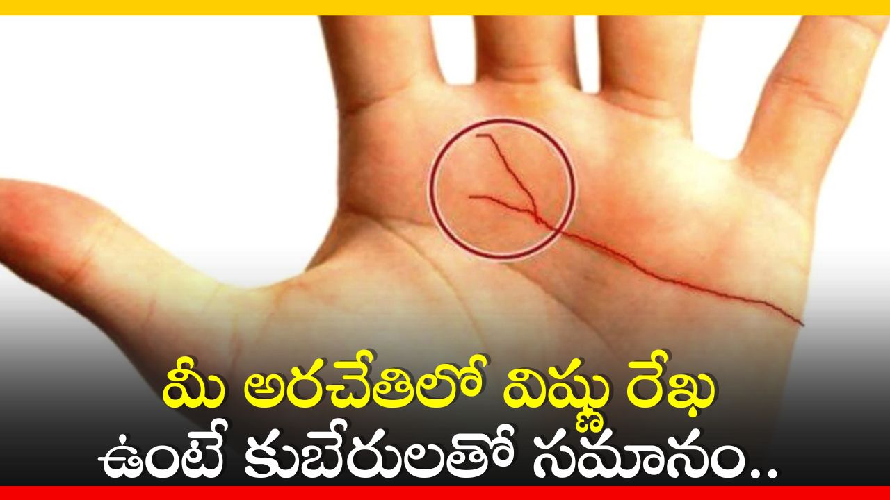If You Have Vishnu Rekha In Your Palm, You Will Be Rich, Gain In ...