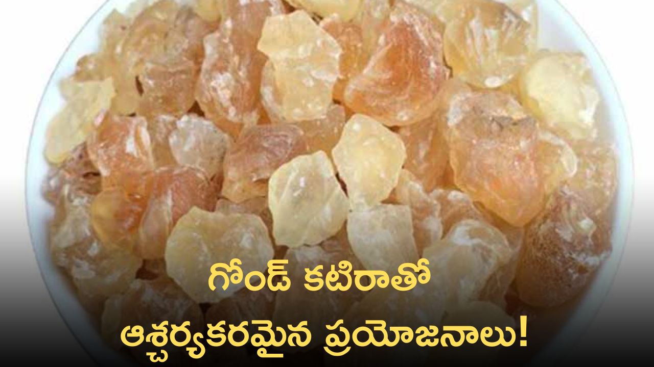 Major Health Benefits Of Gond Katira | Gond Katira Benefits: గోండ్ ...