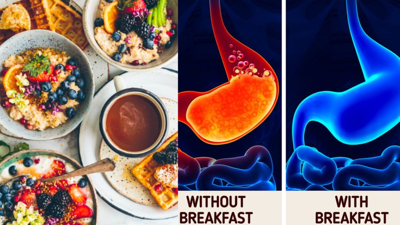 Not Having Breakfast At 8 Am But You Will Be Shocked To Know What ...