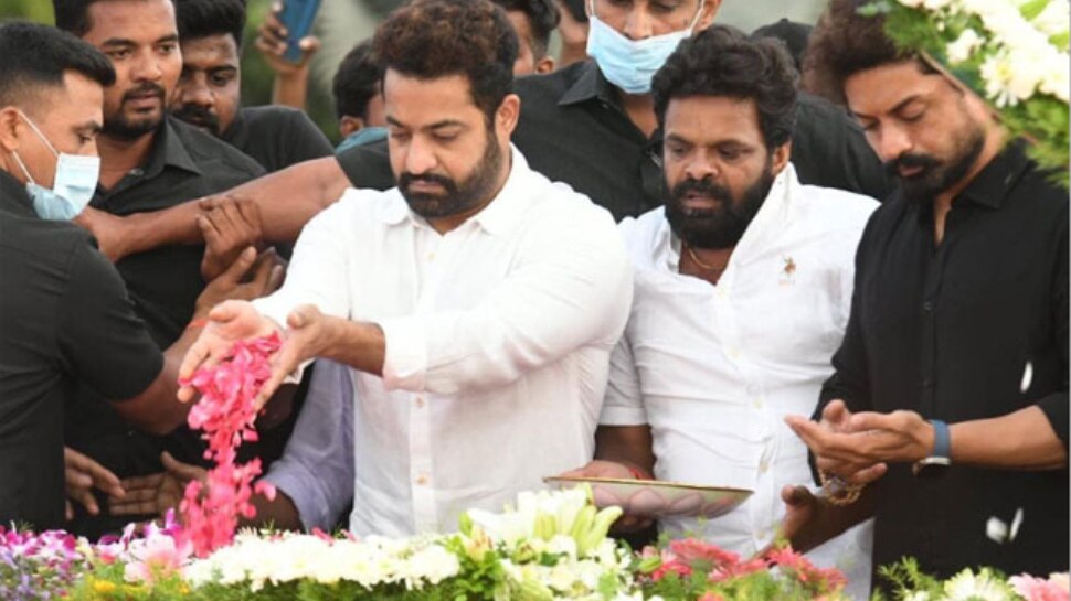 NTR Birth Anniversary jr ntr kalyan ram tributes his grand father tdp ...