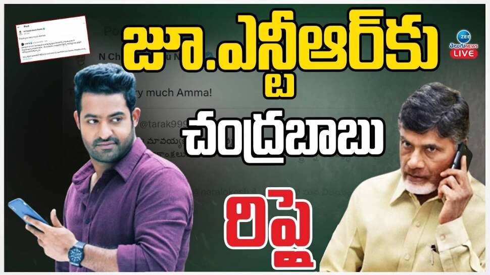 Chandrababu Naidu Shocking Reply to Jr NTR Here Are the Details ta | Chandrababu Naidu: జూనియర్ ...
