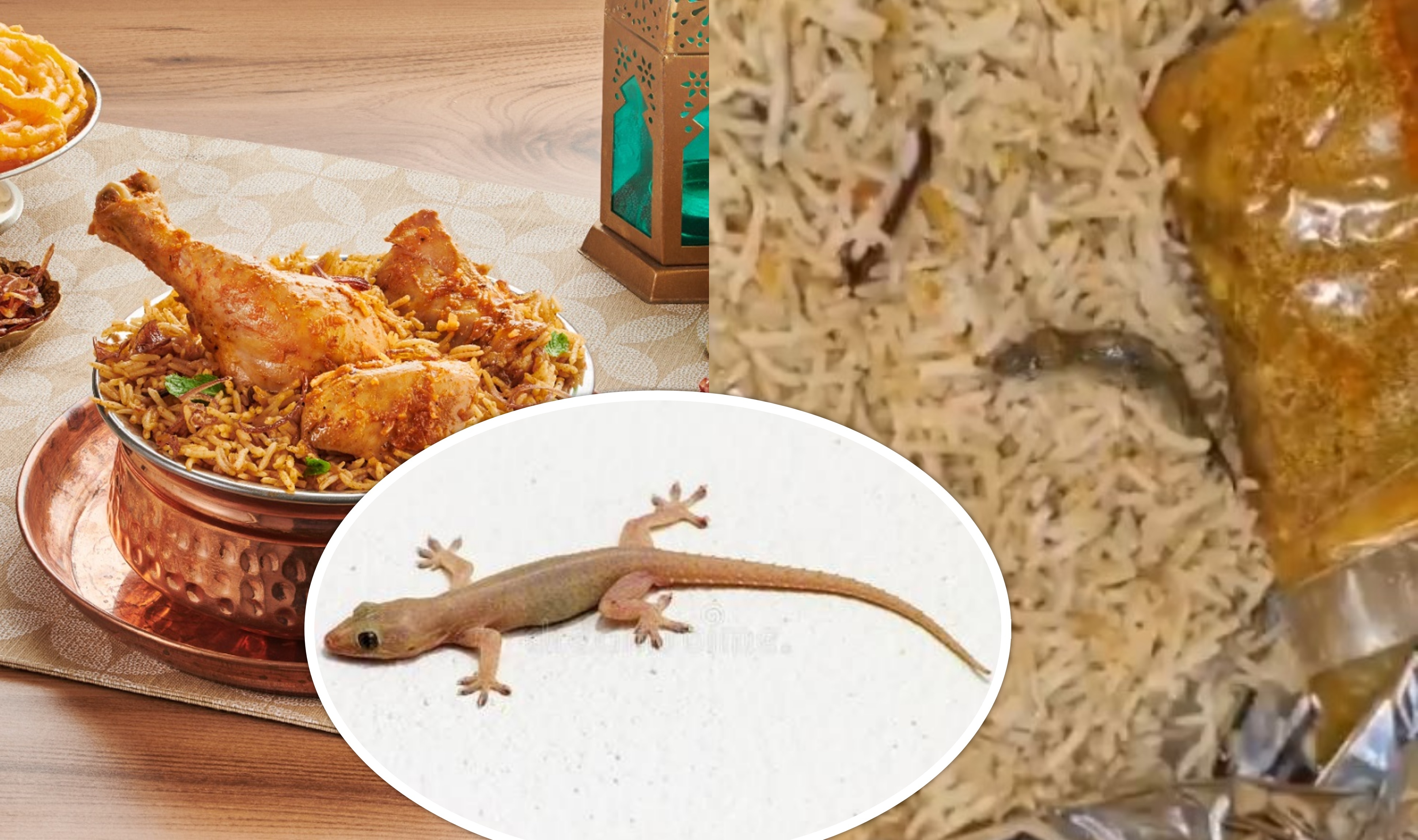 Lizard Found In Biryani At Guntur Arundalpet Video Goes To Viral Rv ...
