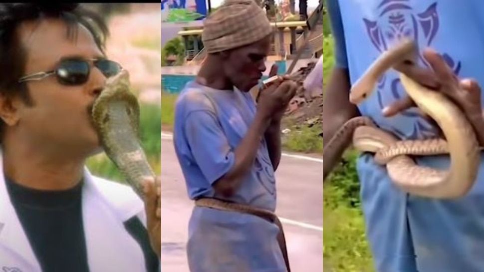 man wrapped the snake around ribs waist and kissing video goes viral pa ...