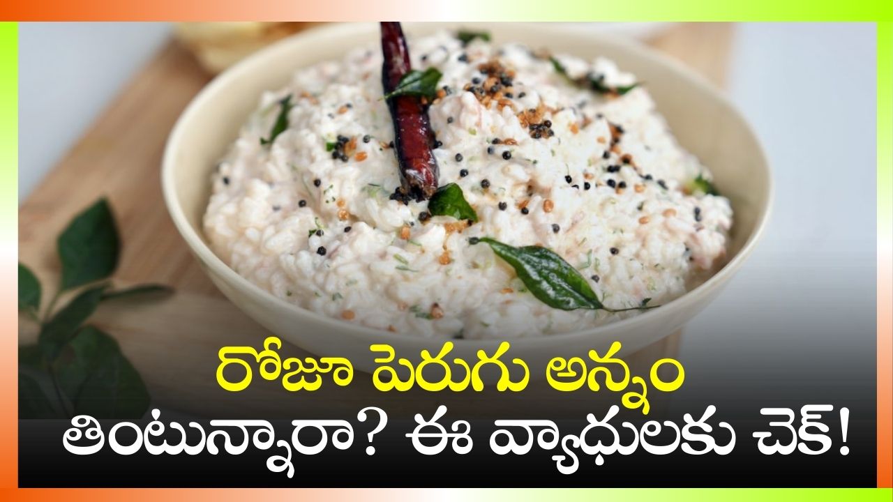 If You Eat Curd Rice, Get Relief From Digestion, Bone And Heart ...