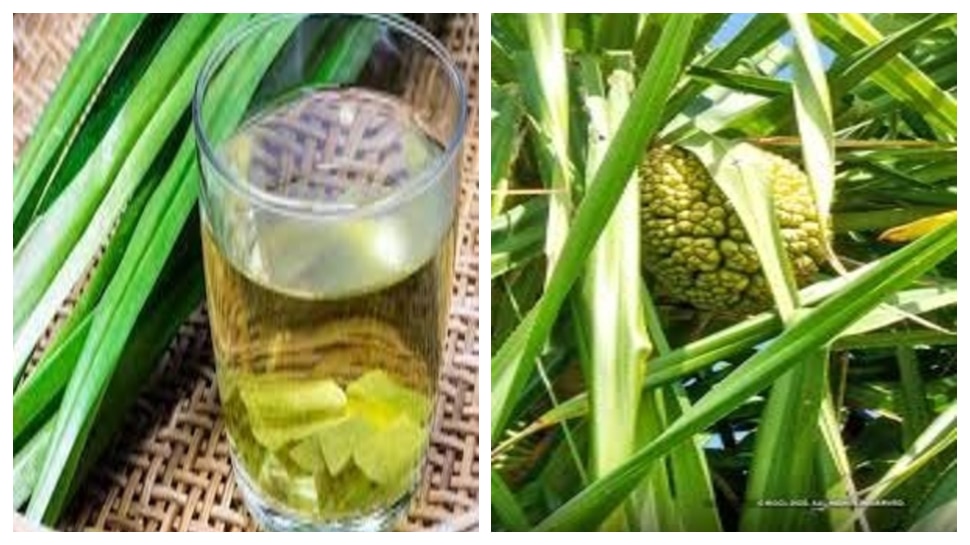 Kawra Water: Kawra Water Amazing Health Benefits Know how to use|Kawra ...