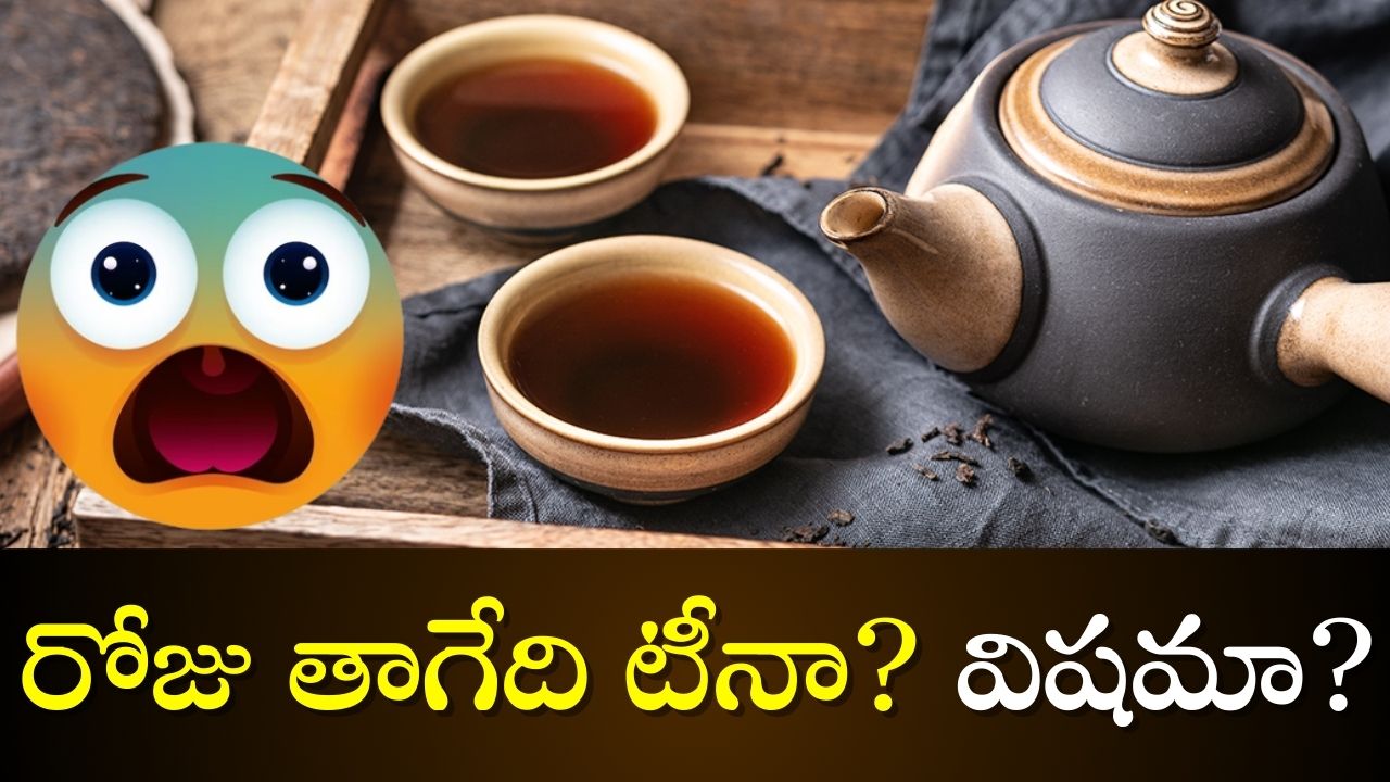 Unexpected Heart Diseases Caused By Drinking Too Much Tea | Tea Latest ...
