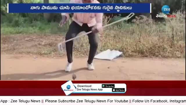 snake hal chal in mahanandi video goes viral pa| Snake: మహా నందిలో నాగు ...