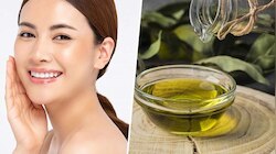 Olive Oil For Dry Skin News in Telugu, Latest Olive Oil For Dry Skin ...