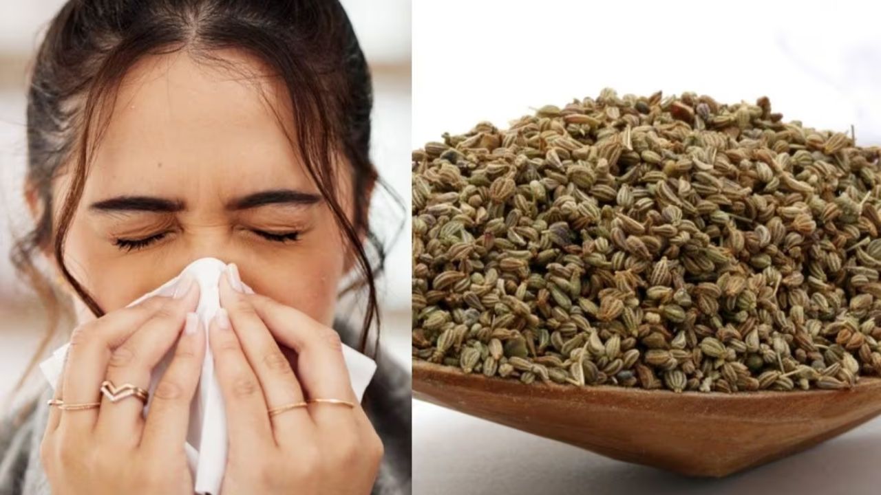 Ajwain Powder Is Good For Cold Cough And More How To Use | Ajwain Powder: తీవ్రమైన దగ్గు, జలుబు ...