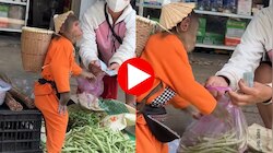 funny monkey News in Telugu, Latest funny monkey news, photos, videos ...