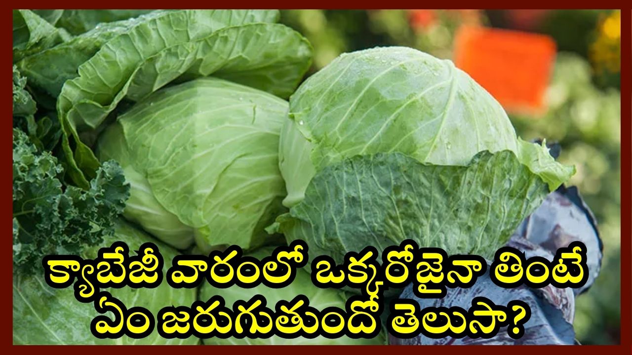 Eating Cabbage Just One Day A Week Has Unexpected Bumper Benefits ...