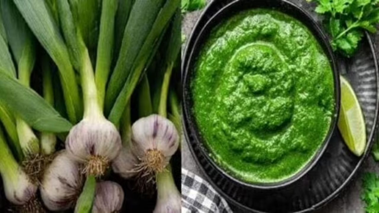 How To Make Healthy Spring Onion Pickle Recipe | Spring Onion Pickle ...