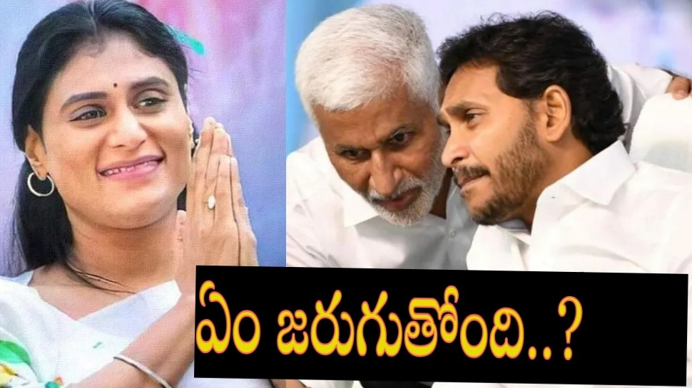 Ex MP Vijayasai Reddy Meets YS Sharmila in Hyderabad After After resigning from YSRCP ...