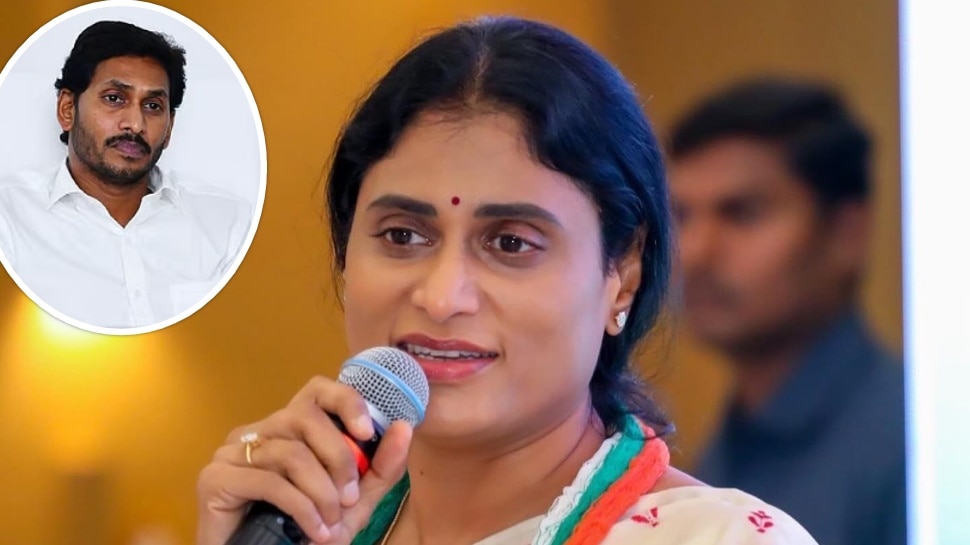 YS Sharmila Again Slams On Her Brother Of YS Jagan After Meet With Vijayasai Reddy Rv | YS ...