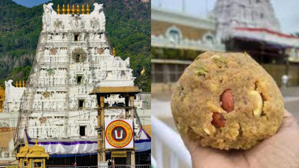 Tirumala laddu row sit arrested four arrested in animal fat in laddu controversy case| Tirumala ...