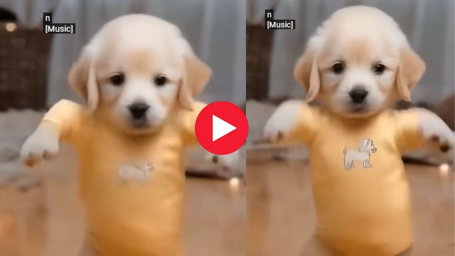 Very Rare Dog Dancing Video Viral | Puppy Dog Video: ఓరేయ్‌ ఇదేం ...