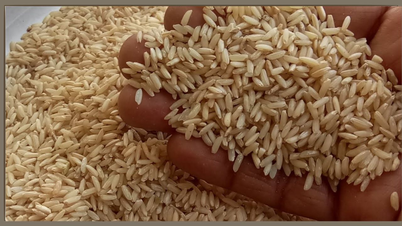 Nutritional Benefits Of Unpolished Rice And Its Importance| Unpolished ...
