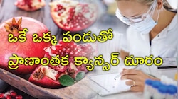 What Pomegranate Do For Men News in Telugu, Latest What Pomegranate Do ...