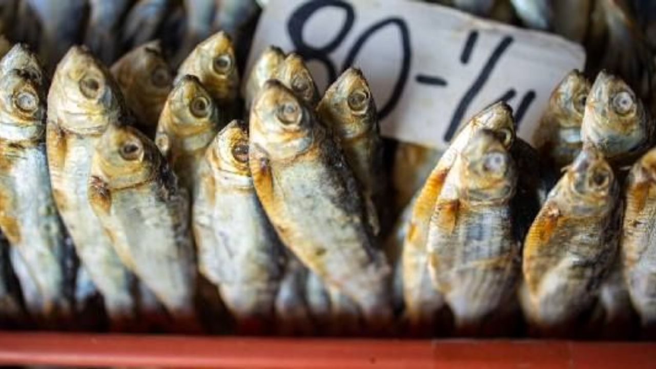 What Are The Health Benefits Of Eating Dried Fish | Dried Fish: ఎండు చేపలు తింటే.. ఏమౌతుందో ...