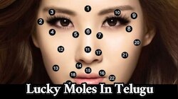 Meaning of moles on body News in Telugu, Latest Meaning of moles on ...
