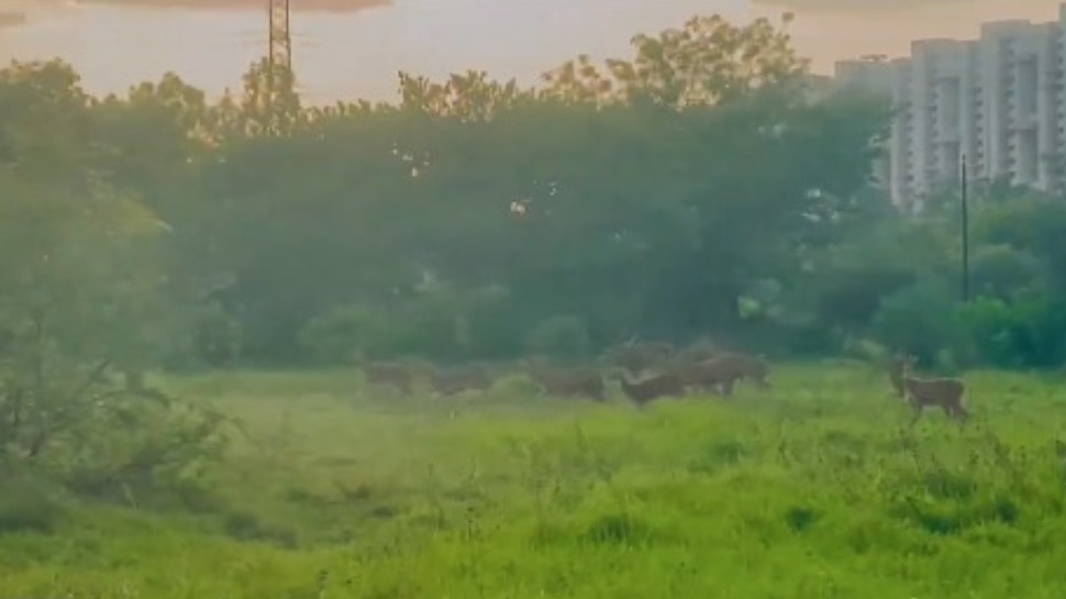 HCU Under High Tension Students vs Police Against Revanth Reddy Speech ...