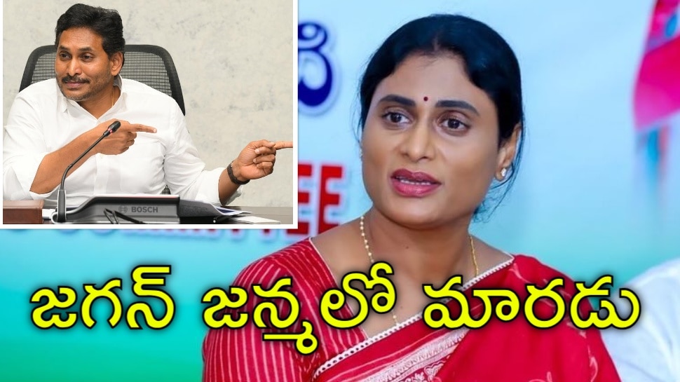 YS Sharmila Wildfire On YS Jagan He Never Change In His Life Time Rv | YS Sharmila: 'ప్రజలు ...