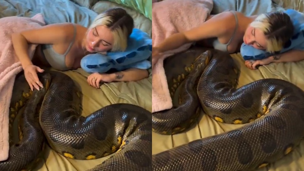 Girl Sleeping With big python video goes viral on social media pa| Python Video: బెడ్ మీద భారీ ...
