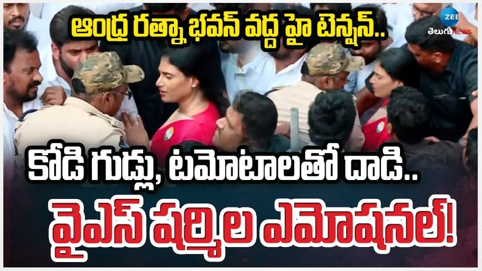 YS Sharmila Fires on PM Modi CM Chandrababu Naidu On Amaravati Development | YS Sharmila: కోడి ...