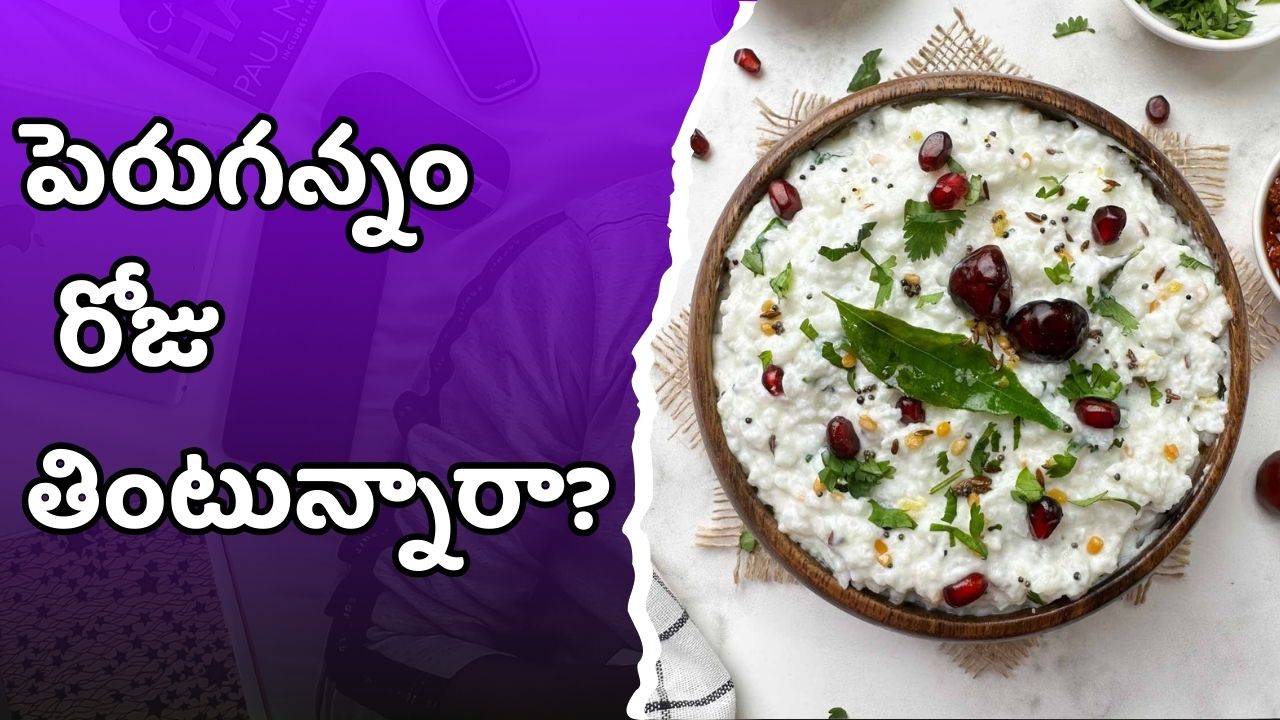 Know Bumper Benefits Of Eating Curd Rice Daily | Curd Rice: పెరుగన్నం ...