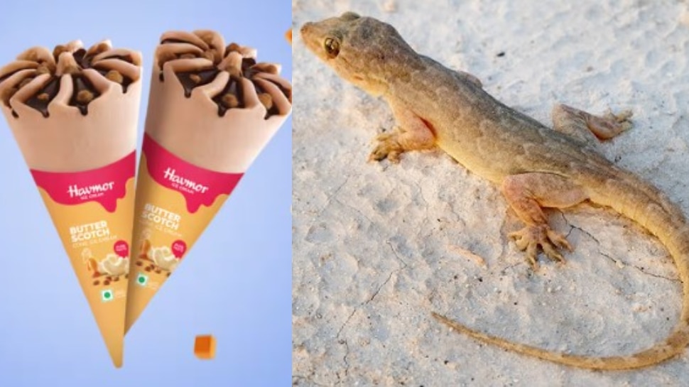 Woman finds lizard tail in ice cream ahmedabad gujarat video goes viral ...