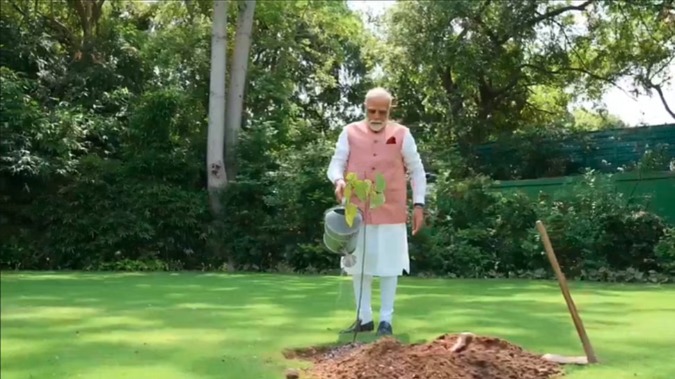World Environment Day PM Modi plants Planting indoor plants at ...