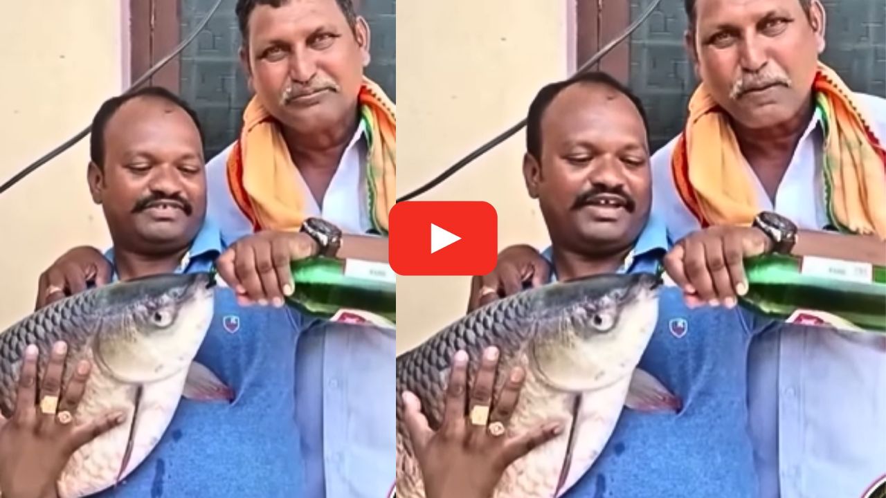 Fish Drinking Kingfisher Beer Viral Video Watch | Fish Drinking Beer ...