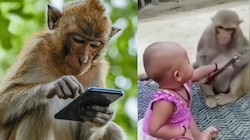 monkey playing with smart phone News in Telugu, Latest monkey playing ...