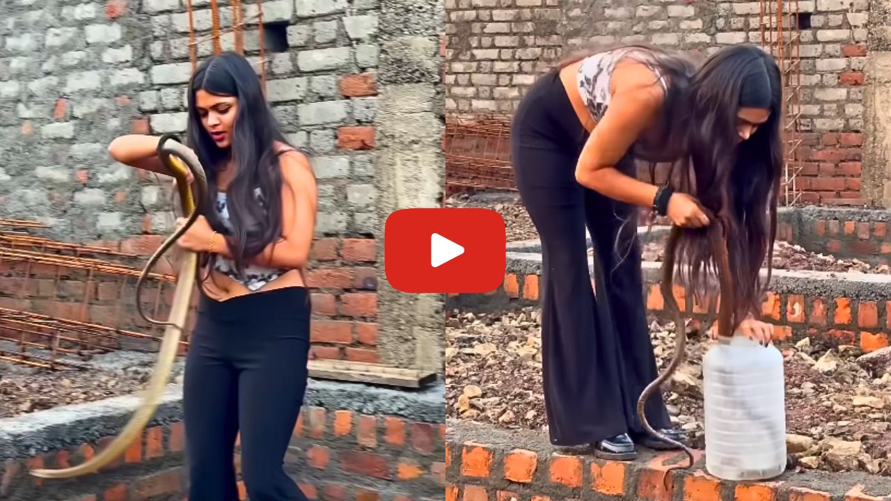 Lady Snake Catcher Catching Rare 4-foot Snake Viral Video Goes To Viral ...